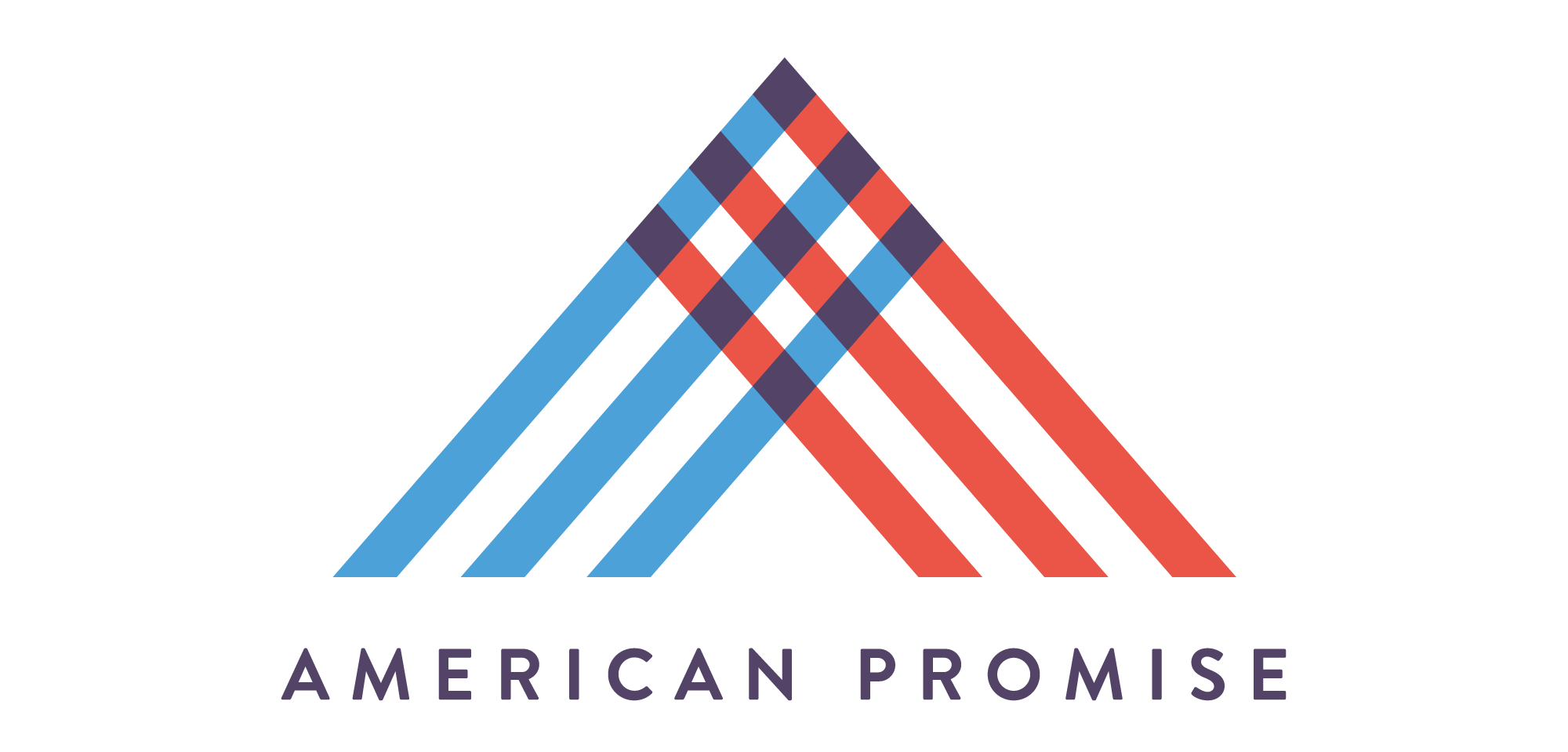 American Promise - American Democracy Summit