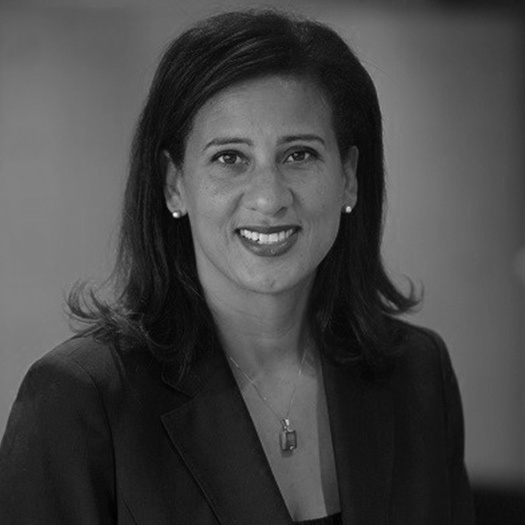 Nicole Bibbins Sedaca - American Democracy Summit