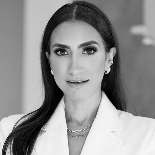 Mandana Dayani - American Democracy Summit