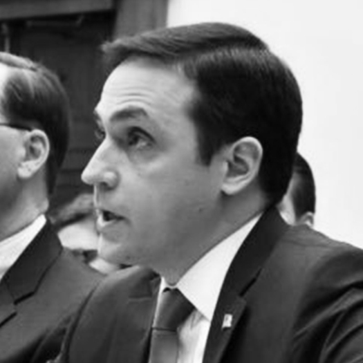 Adav Noti - American Democracy Summit